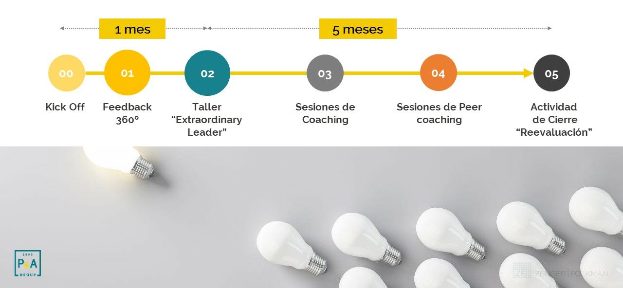 Programa The Extraordinary Leader - Grupo P&A